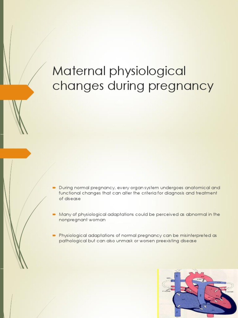 Maternal Physiological Changes in Pregnancy | PDF | Heart | Circulatory ...