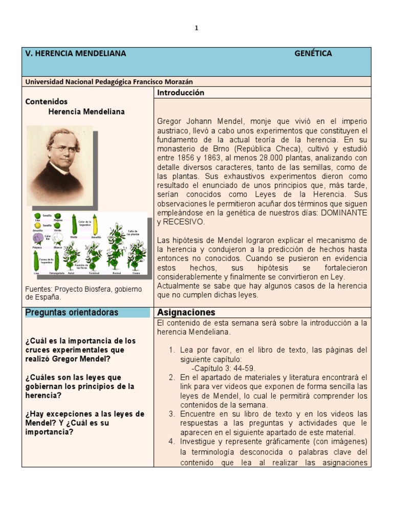GUIA #4, Genetica Mendeliana | PDF | Dominancia (Genética) | Genotipo