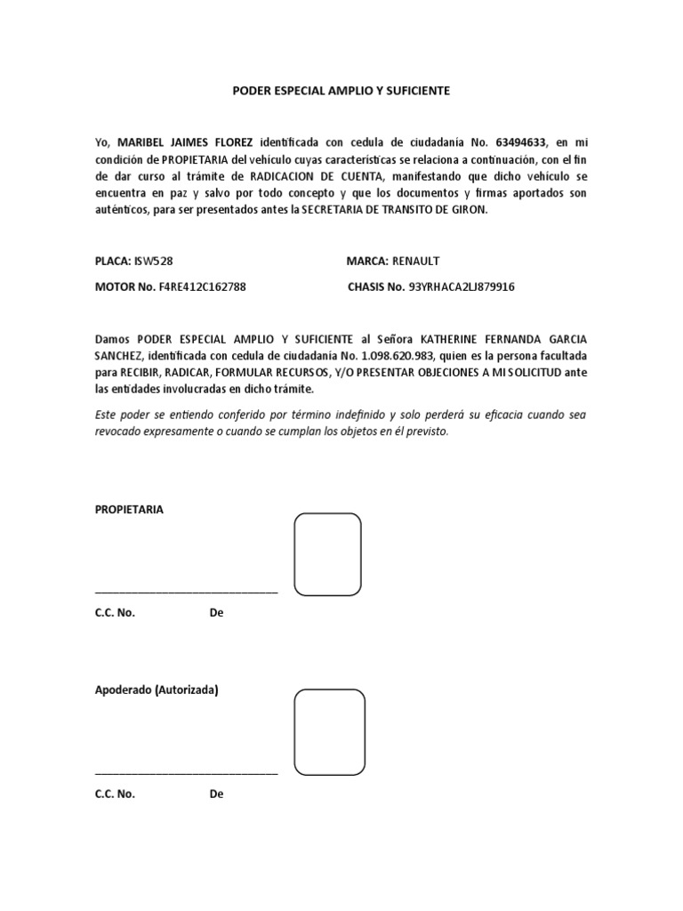 Poder Especial Amplio y Suficiente (1098) | PDF