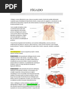 Anatomia do Fígado e Suas Estruturas | PDF | Fígado | Hepatócito