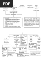 Pathway Penyakit Jantung Bawaan | PDF