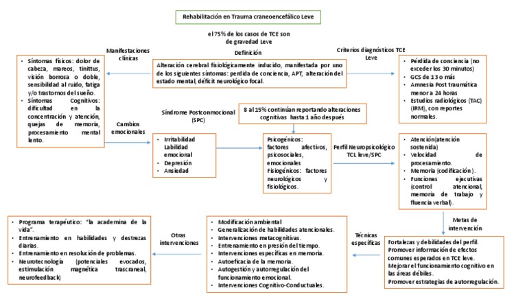 Mapa Conceptual TCE Leve | PDF | Lesión cerebral traumática | Las emociones