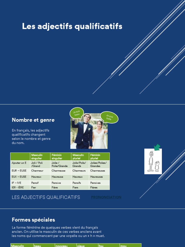 Les Adjectifs Qualificatifs PDF | PDF