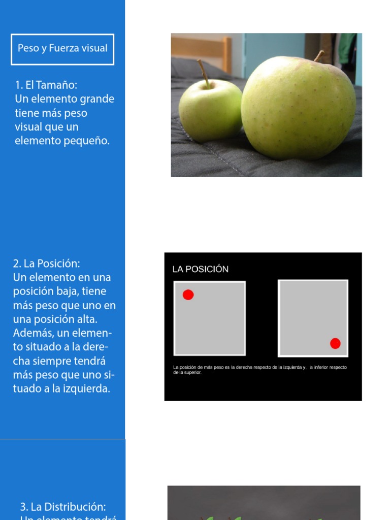 Clase de Peso Visual | PDF