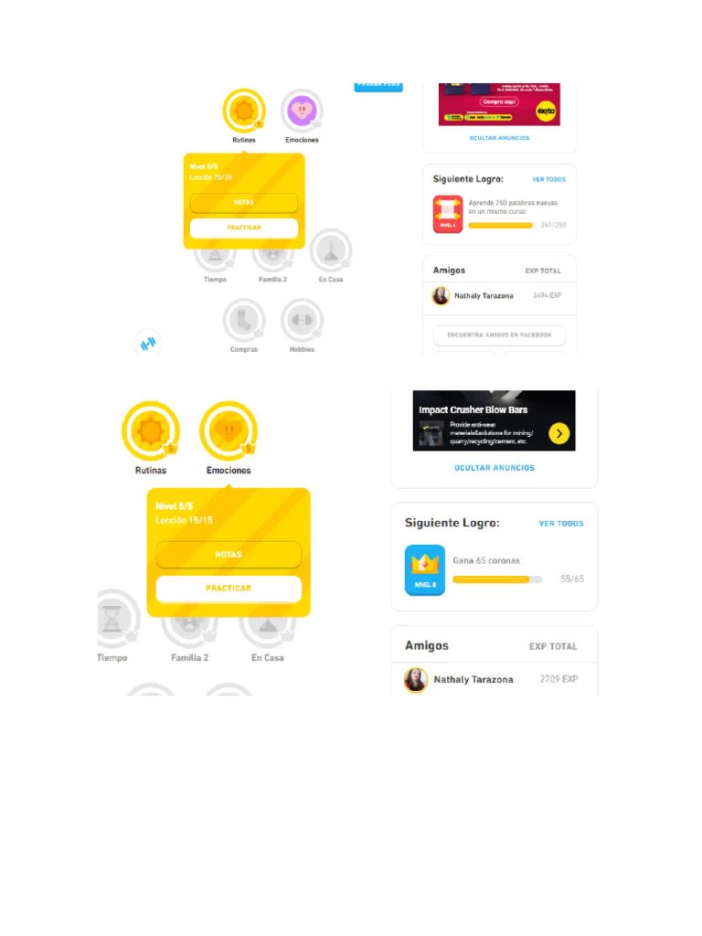 Duolingo Task 2 | PDF