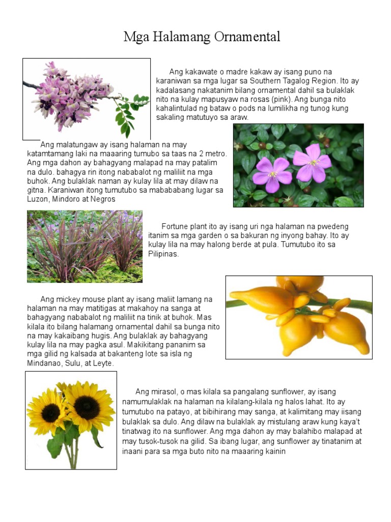 Mga Halamang Ornamental | PDF
