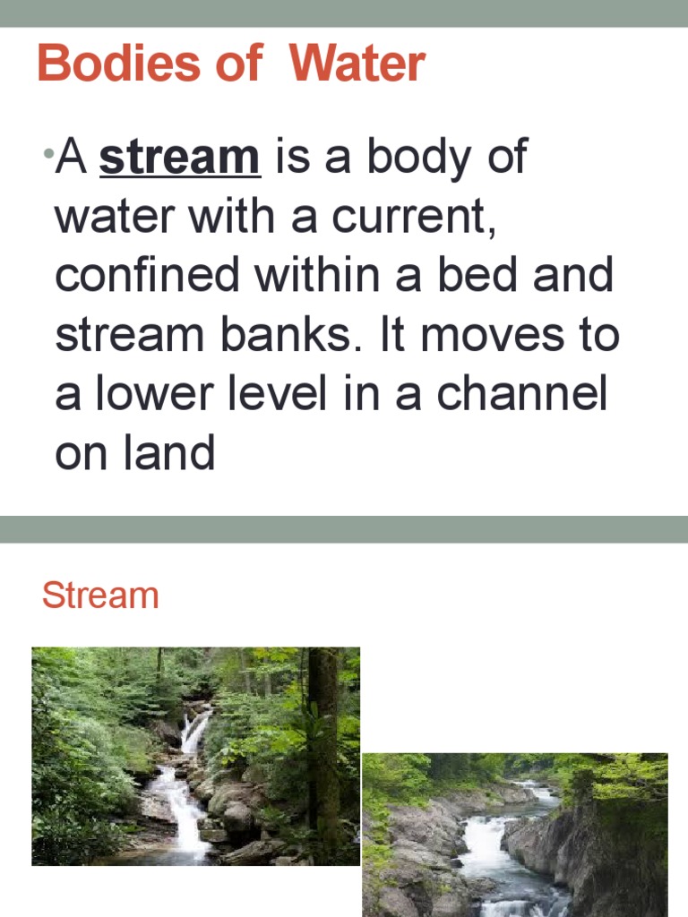 Bodies of Water | PDF