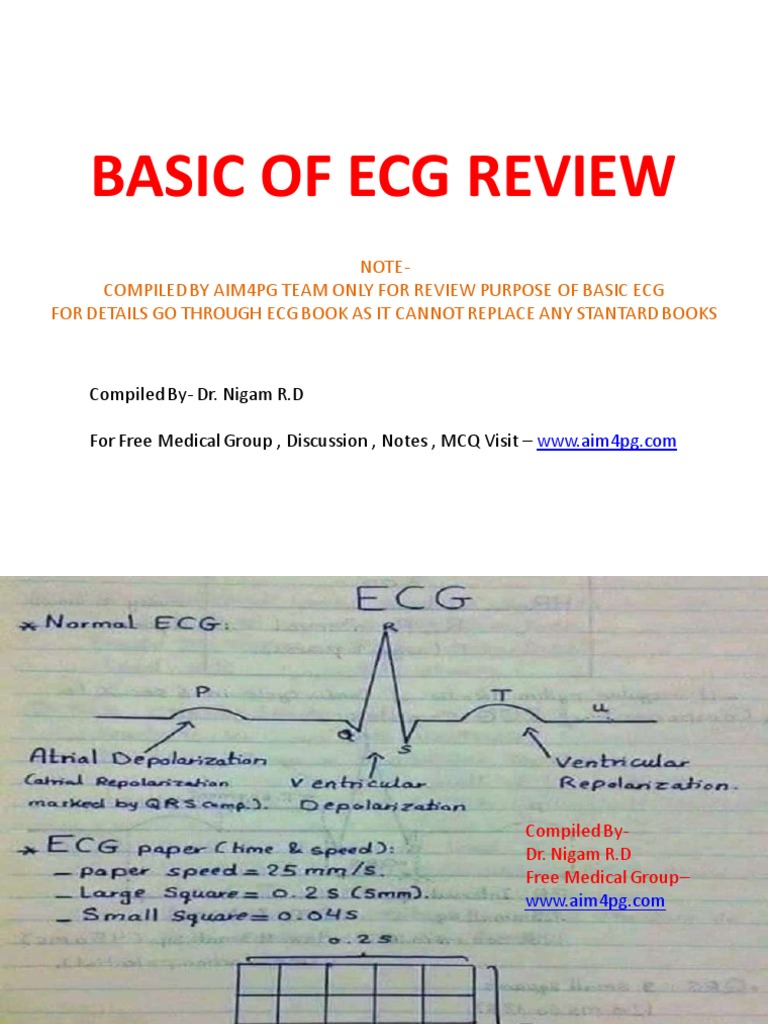 Basic of Ecg Review | PDF