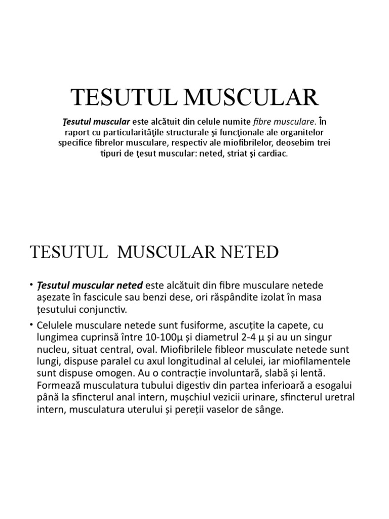 Tesutul Muscular | PDF