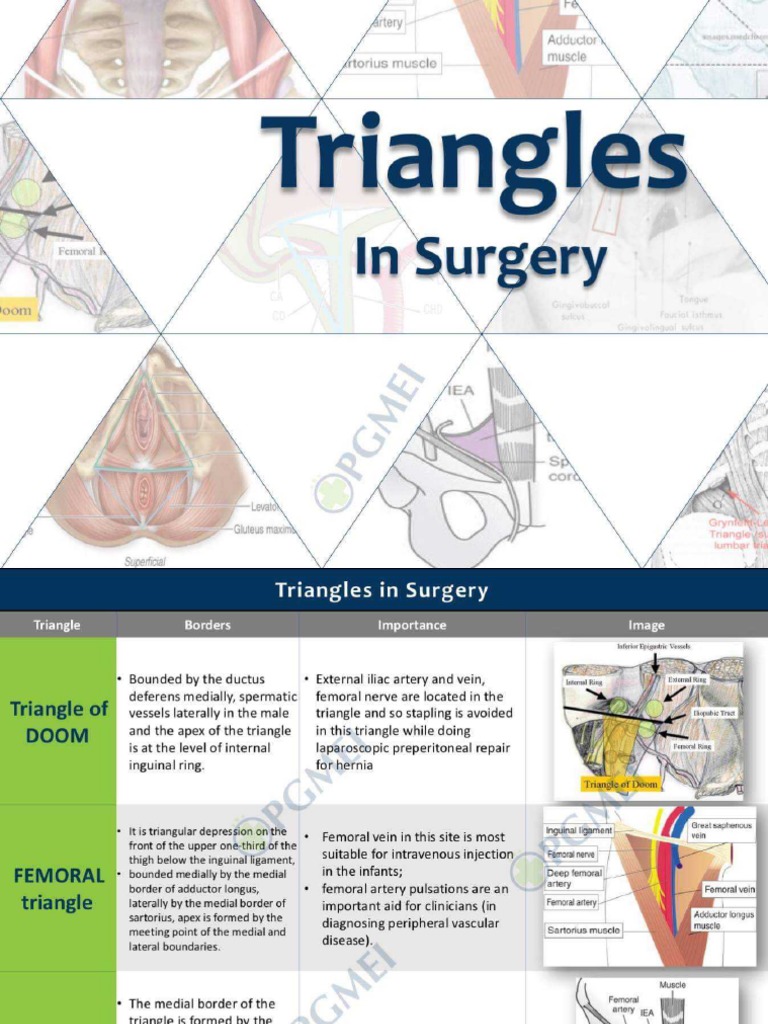 Triangles in Surgery | PDF