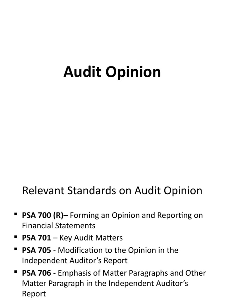 Audit Opinion | PDF | Auditor's Report | Going Concern
