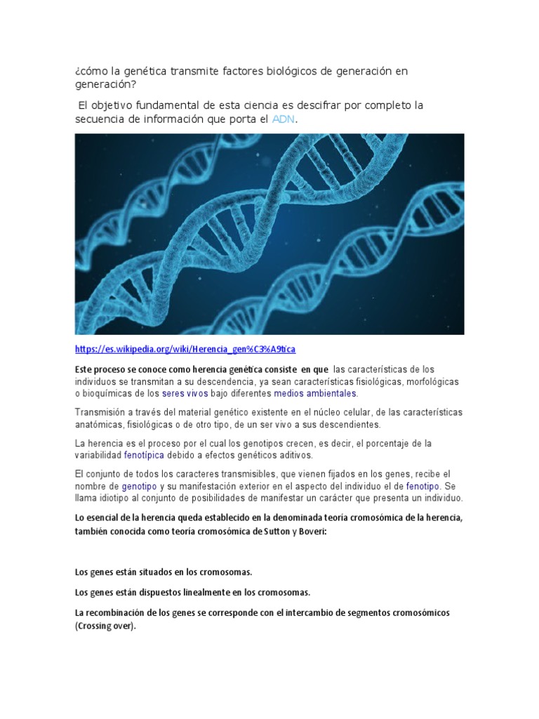 Cómo La Genética Transmite Factores Biológicos de Generación en ...