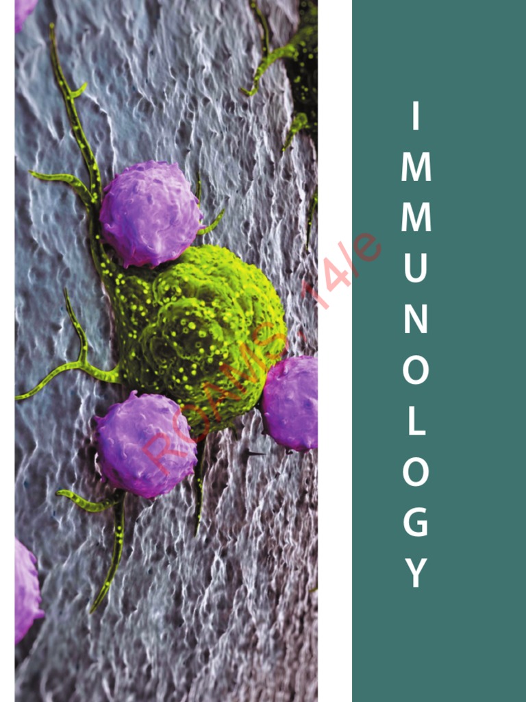 Immunology ROAMS | Download Free PDF | Antibody | T Cell