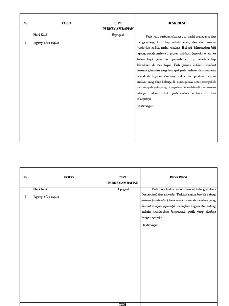 Revisi Laporan | PDF