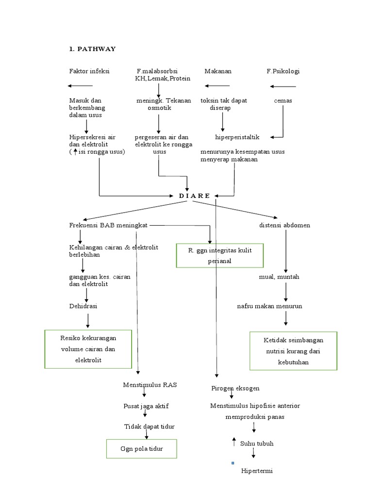 T - Pathway Diare | PDF
