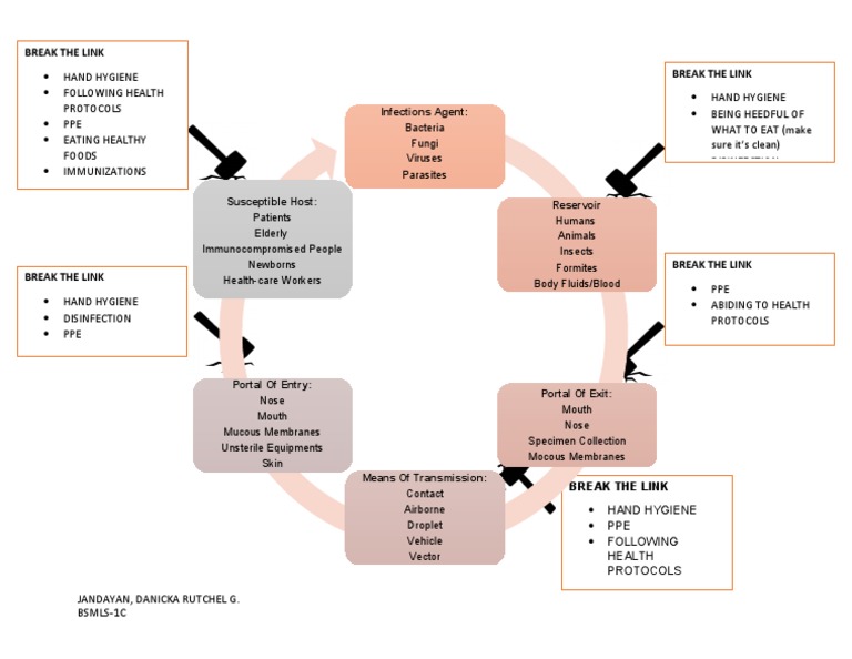 Infections Agent:: Break The Link Break The Link | PDF | Hygiene ...