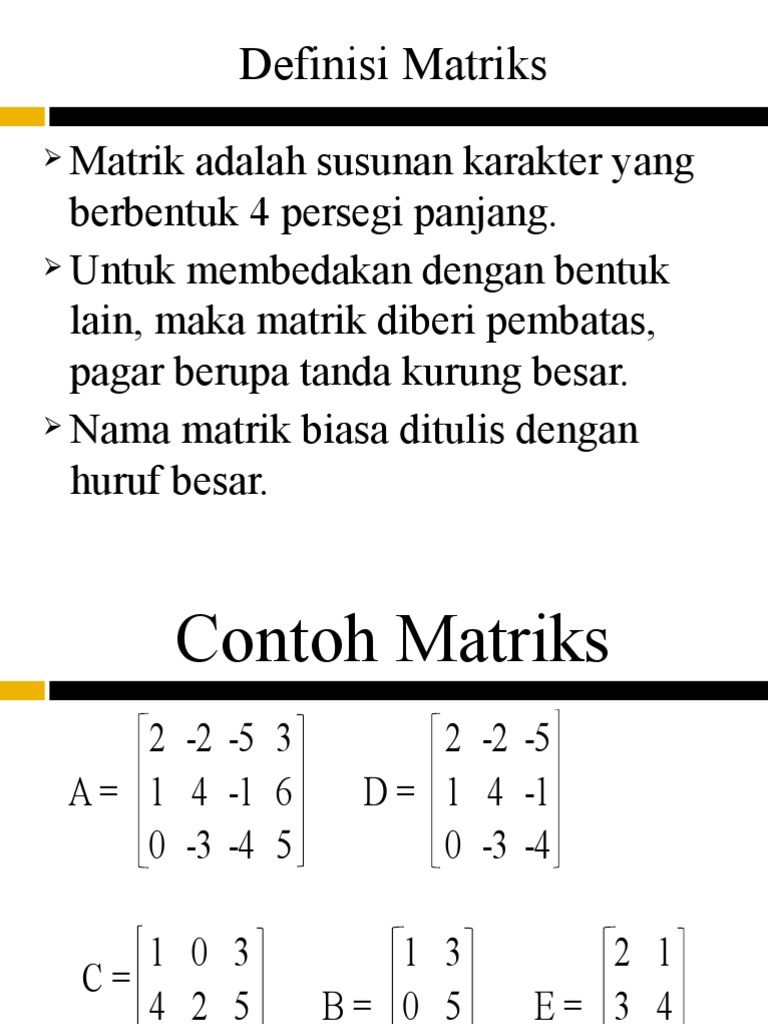 Panduan Dasar Matriks | PDF