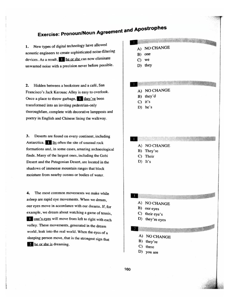 SATPronoun Noun Agreement Exercise | PDF