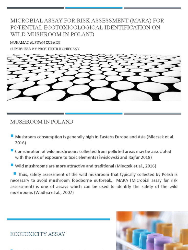 Microbial Assay For Risk Assessment (Mara) For Potential ...