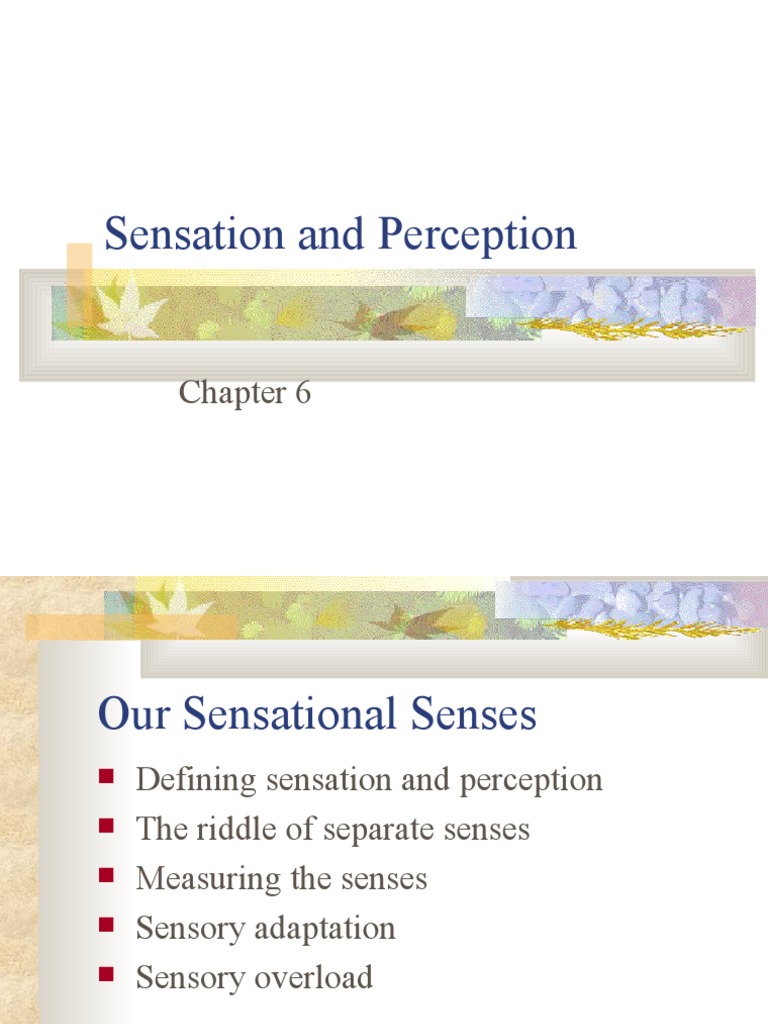 Understanding Our Sensational Senses: A Comprehensive Look at Vision ...