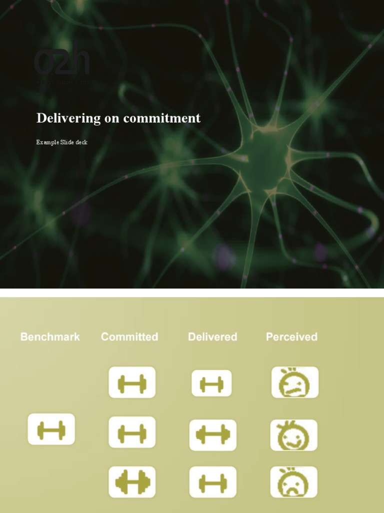 Delivering On Commitment: Example Slide Deck | PDF | Business