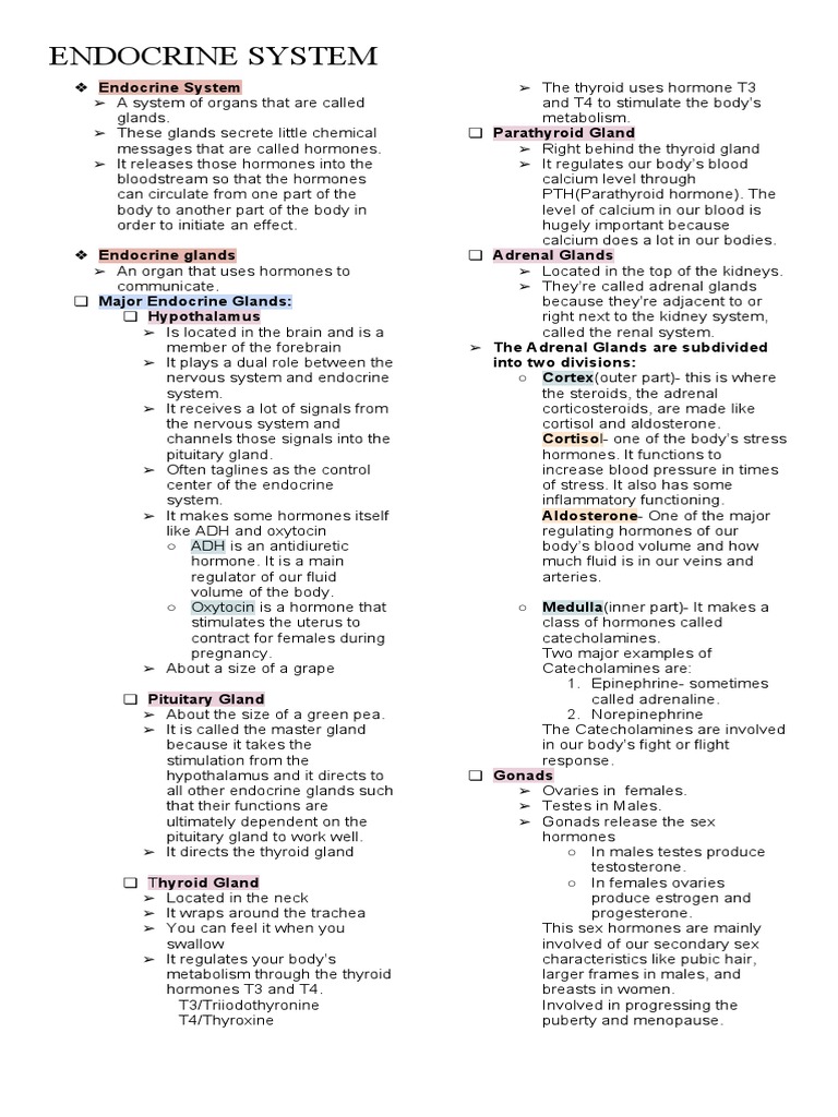 Endocrine System Parathyroid Gland | PDF | Endocrine System | Hormone