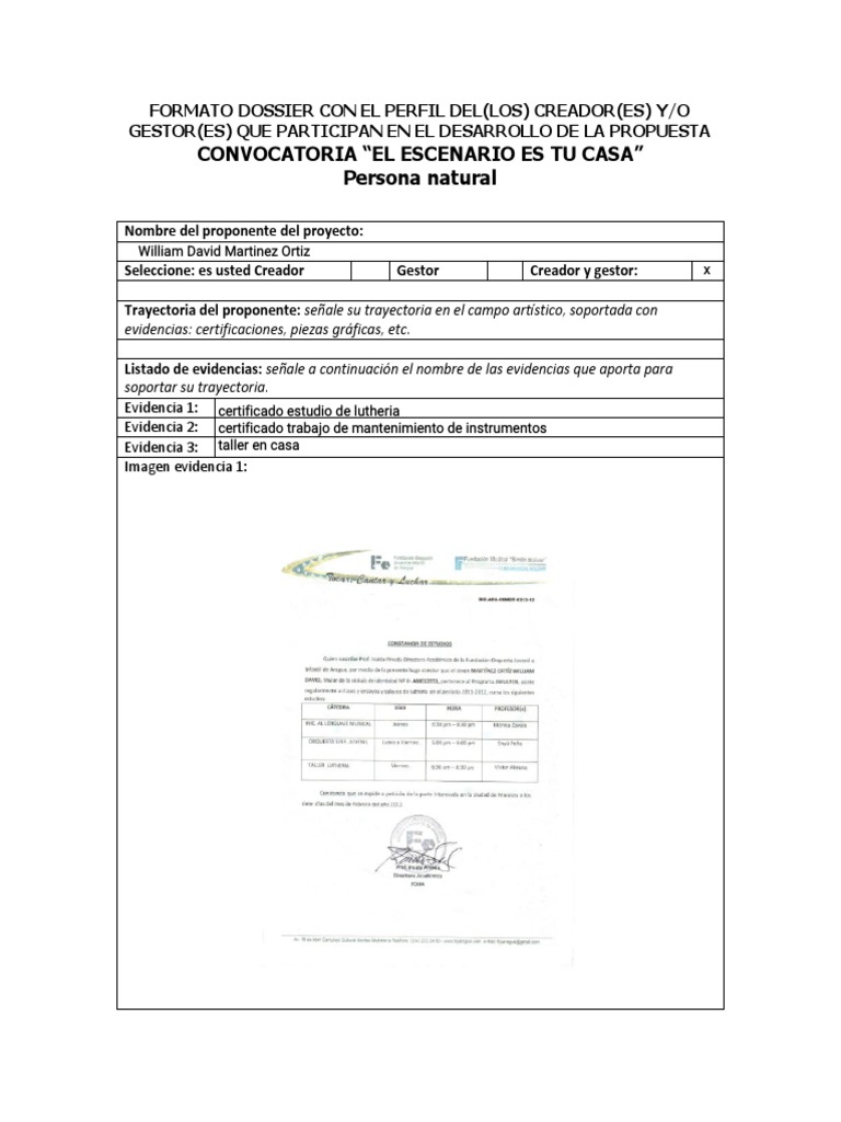 Formato Dossier | PDF