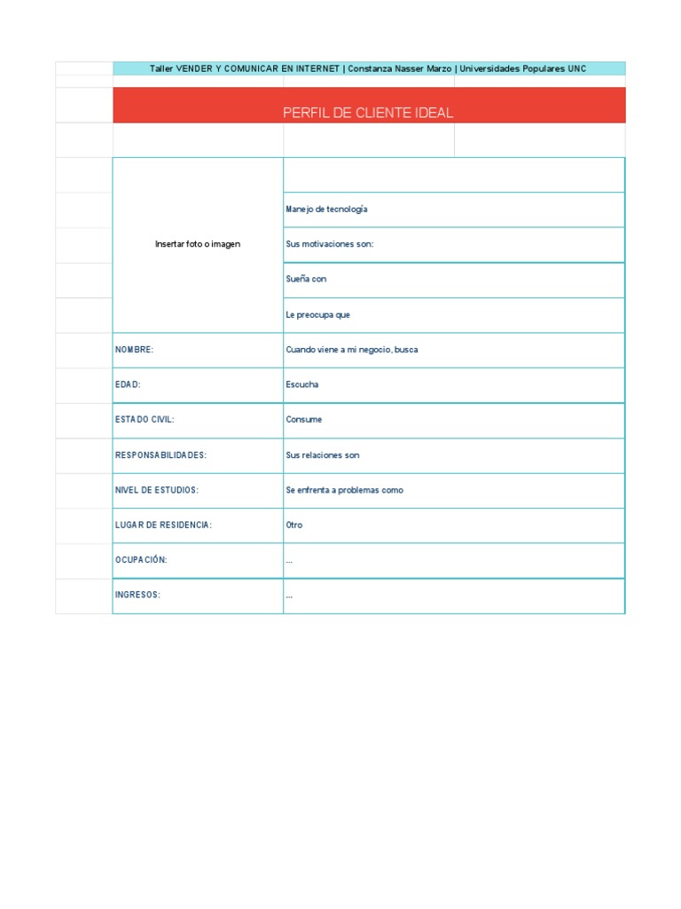 Plantilla Perfil de Cliente PDF | PDF | Negocios