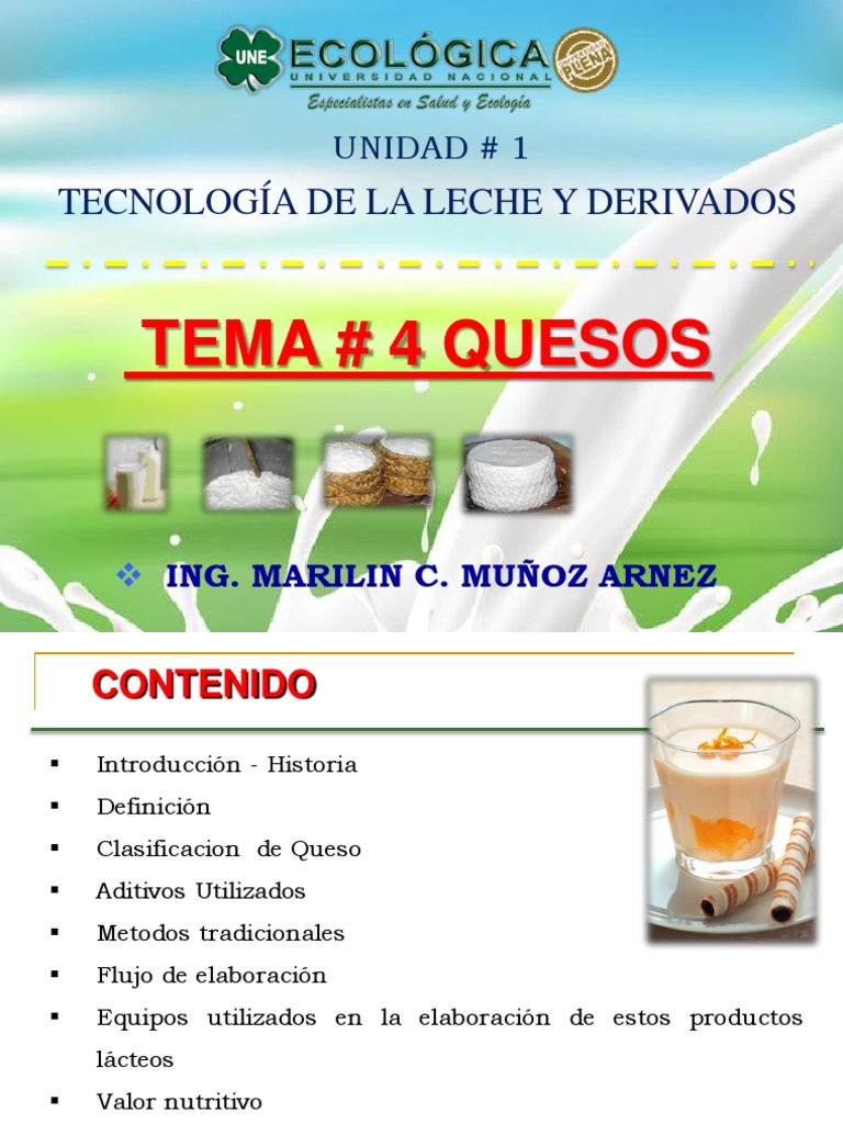 Queso PDF | PDF | Queso | Leche