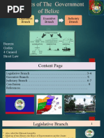 Constitution of Belize | PDF