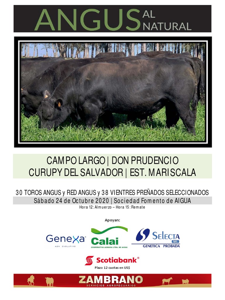 Catálogo Angus Al Natural | PDF