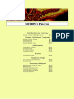 CT Pancreas Protocol Overview | PDF | Pancreatic Cancer | Ct Scan