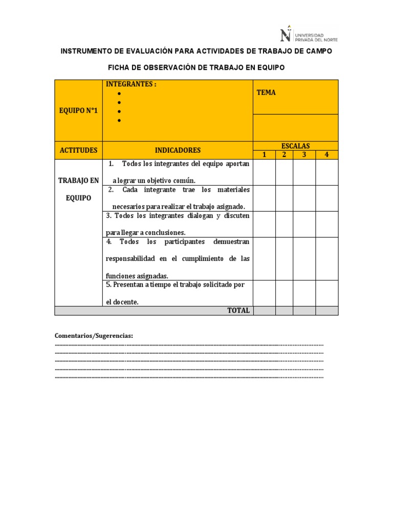 Hoja De Trabajo De Observación Ficha_Observacion_PT Material De La