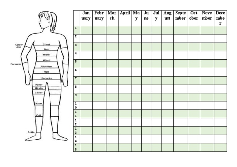 Body Measurements Tracker | PDF