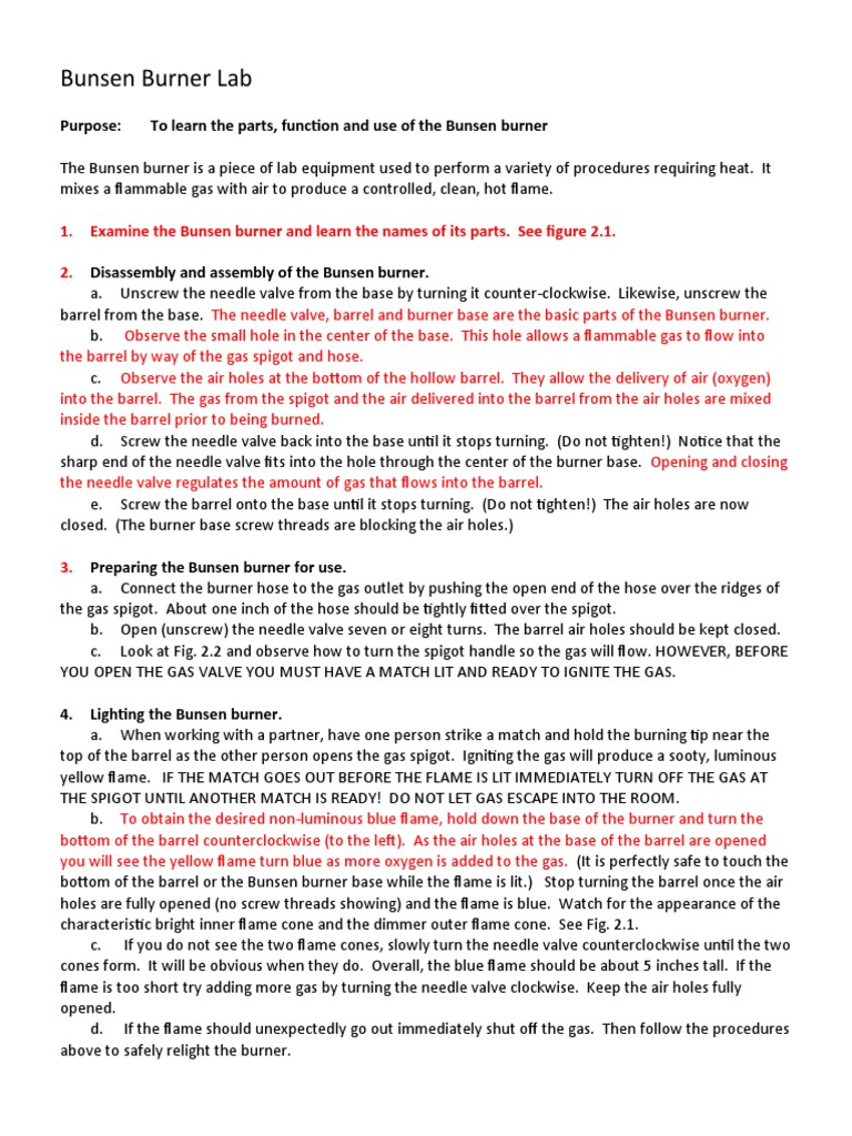 The Bunsen Burner Lab - Answers | PDF | Fires | Heat Transfer