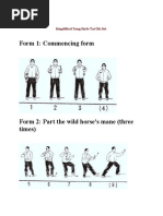 Shibashi Forms Poster-En | PDF