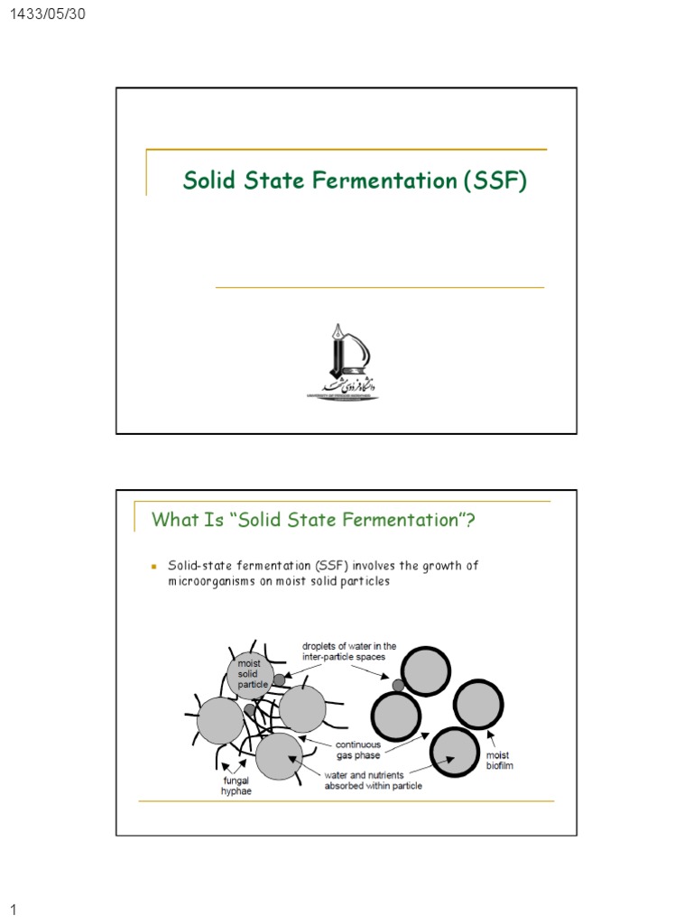 What Is "Solid State Fermentation"? | PDF | Chemistry | Chemicals