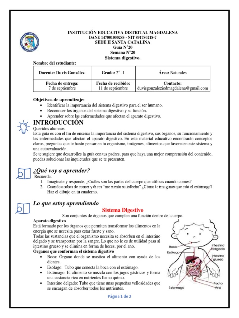 Guia Aprendizaje Naturales No 20 Sistema Digestivo | PDF | Digestión ...