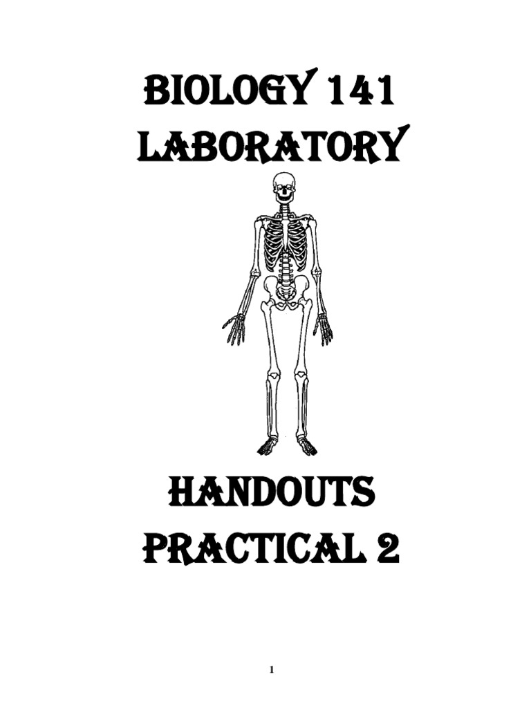 BIO141 Practical2 | PDF | Foot | Vertebra