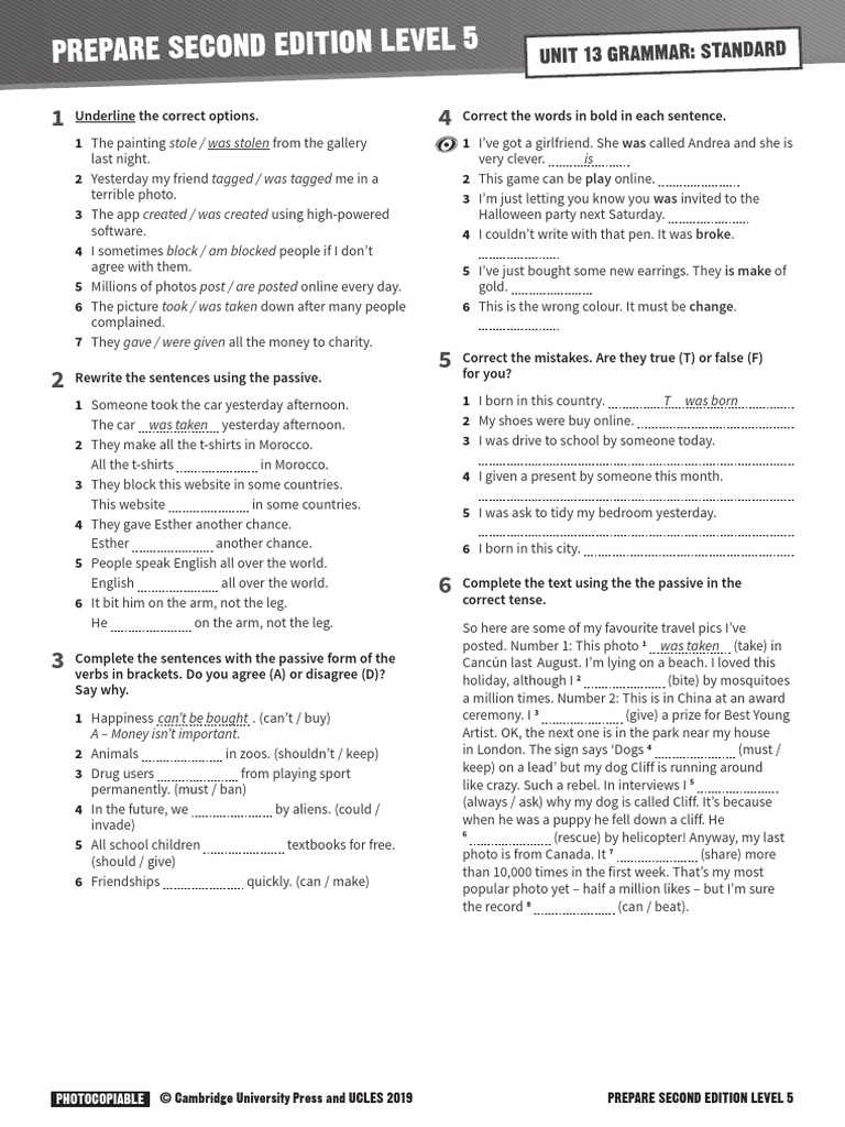 Prepare Second Edition Level 5: Unit 13 Grammar: Standard | PDF | Linguistic Typology | Linguistics