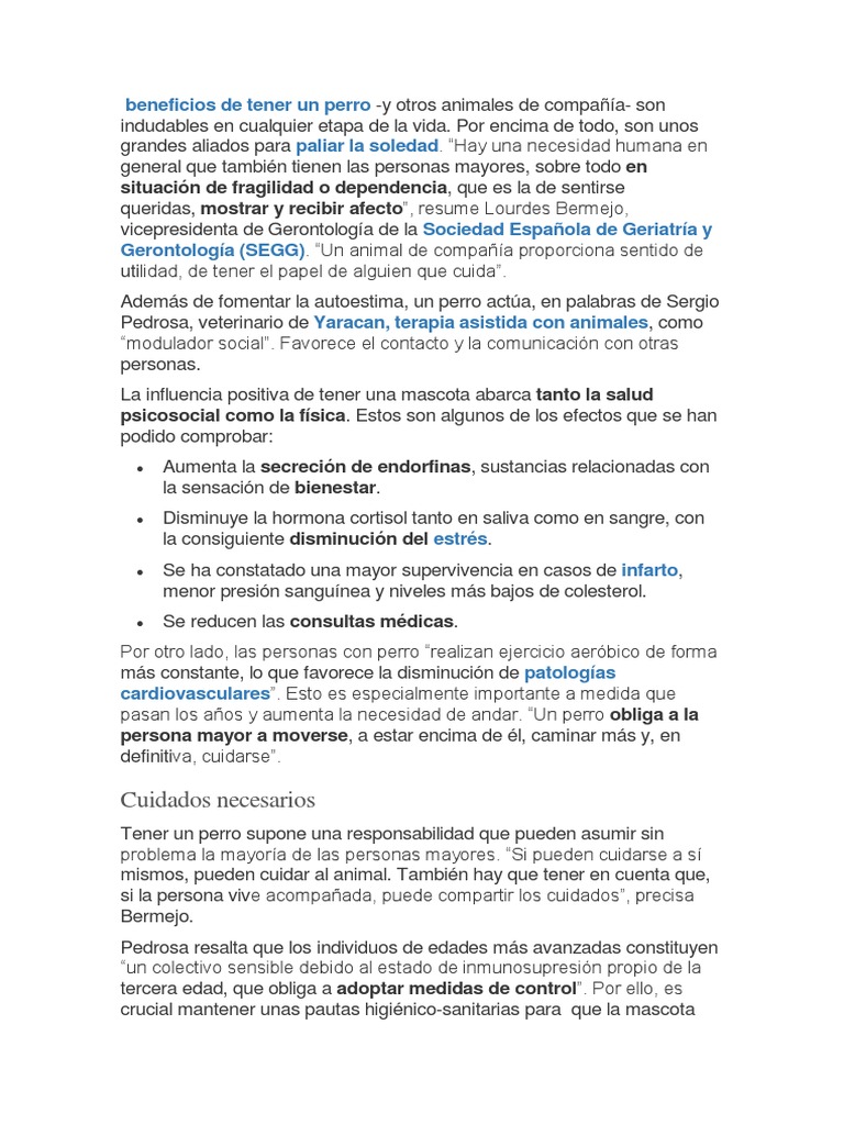 Perros y Personas Mayores, Mucho Más Que Compañeros PDF | PDF | Perros ...