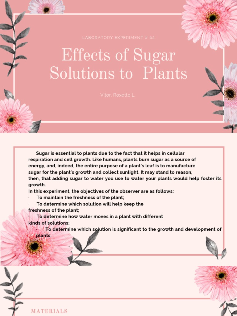 Lab 2 Effects of Sugar Solutions To Plants | PDF | Osmosis | Chemistry
