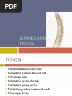 Anatomi Dan Fisiologi Vertebrae Cervical | PDF