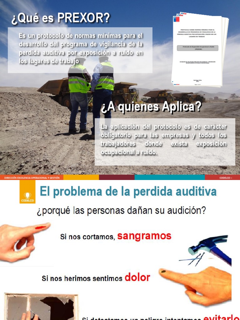 3 Presentación PPT PREXOR PDF | PDF | ruido | Bienestar