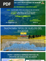 Suelos Fluvisoles: Importancia y Uso | PDF | Suelo | Riego