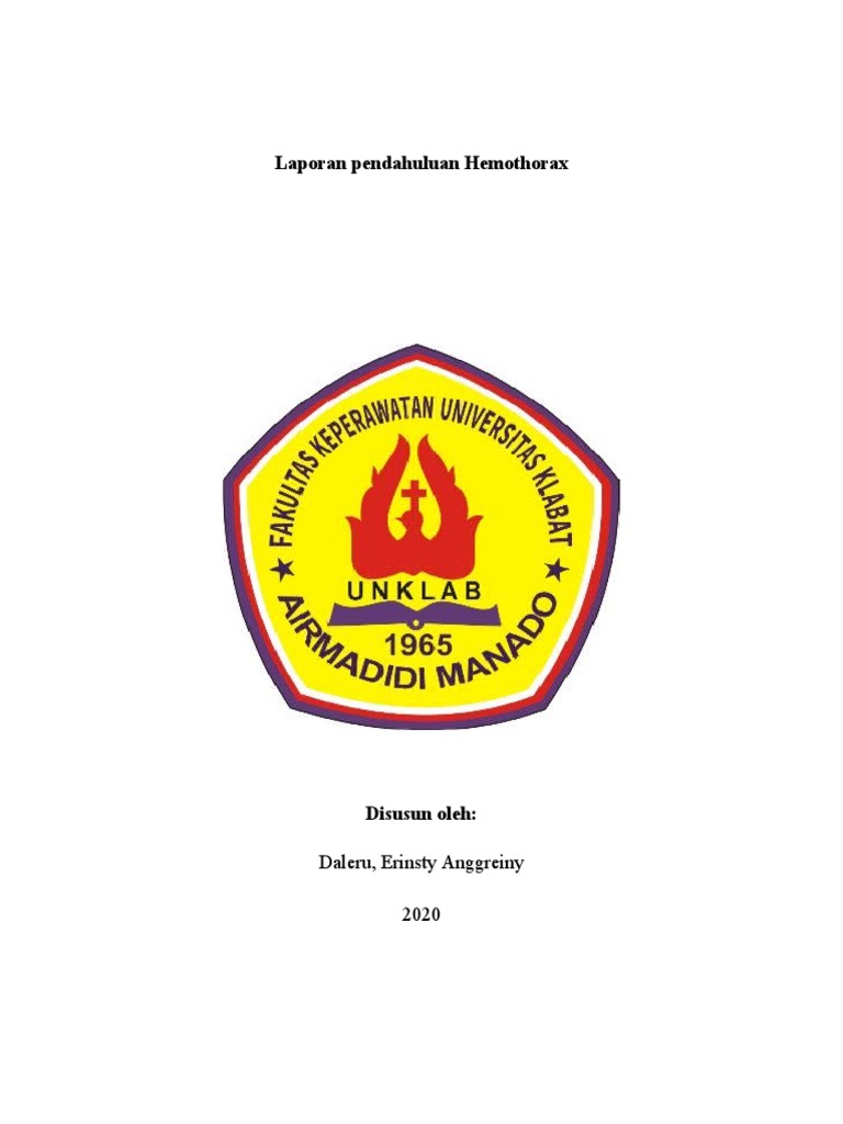 Hemothorax Pdf Sains And Matematika