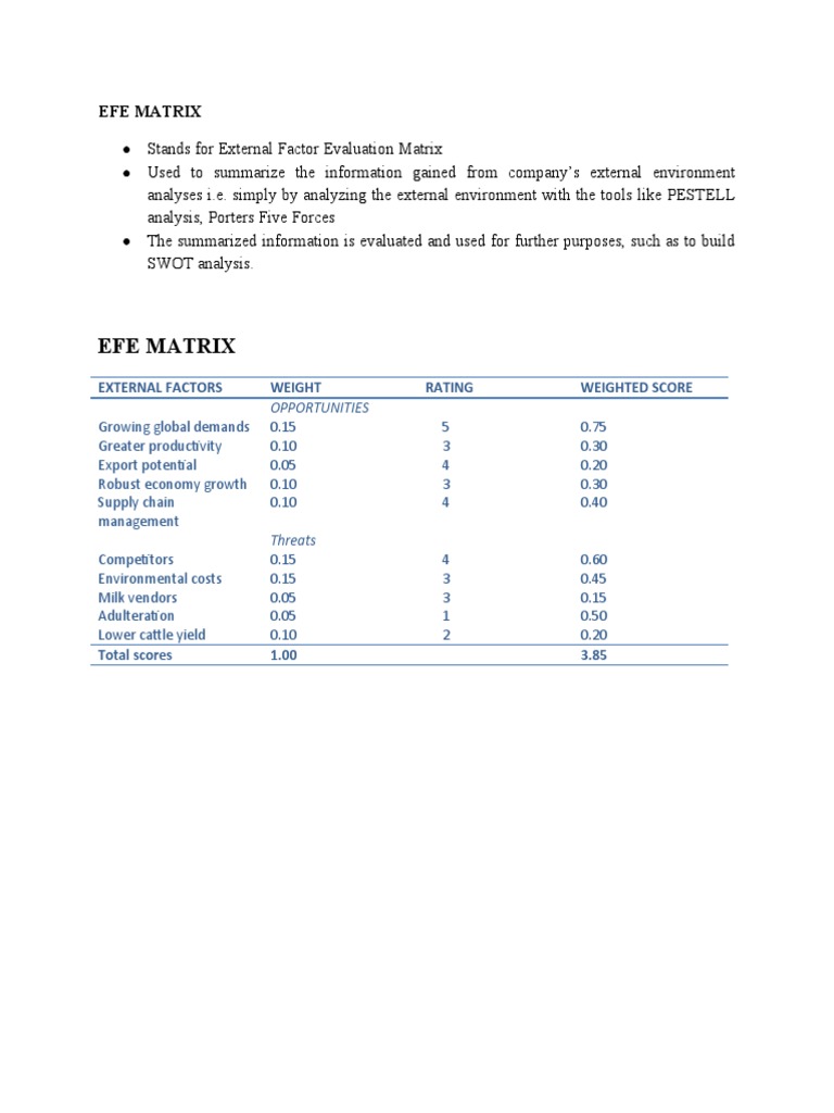 EFE Matrix for Business Strategy | PDF