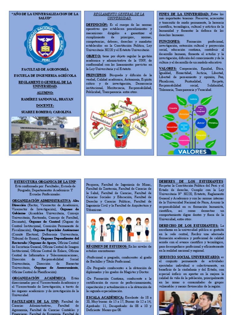 Triptico | PDF | Universidad | Institución