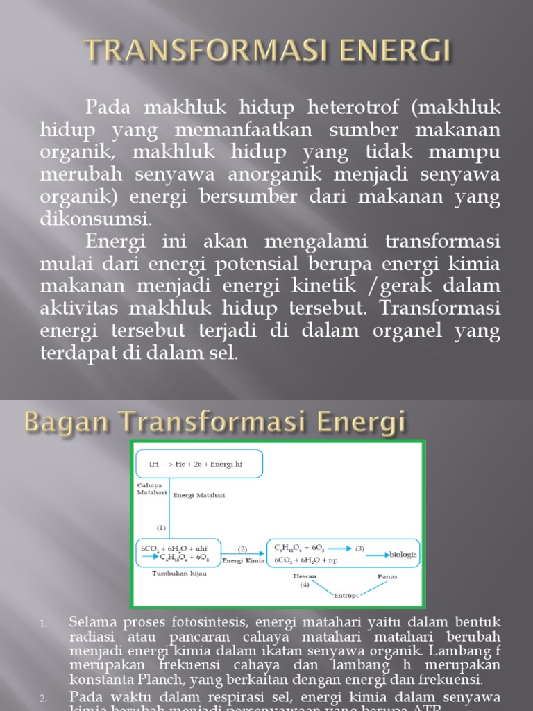 Transformasi Energi Dalam Sel | PDF