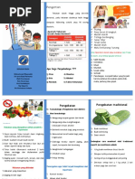 Leaflet Diet Dash | PDF | Kesehatan Holistik